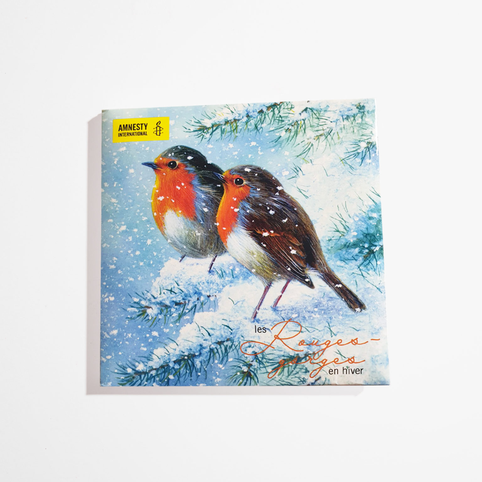 Pochette 10 cartes de correspondance Rouges-Gorges en Hiver - Brian ...